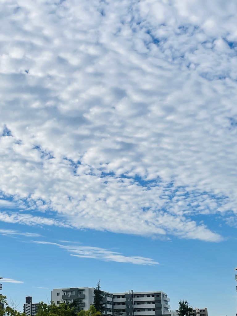 得手 | ＜ニンカン・ネット＞いつまでも みんなで ニンカン やろうよ